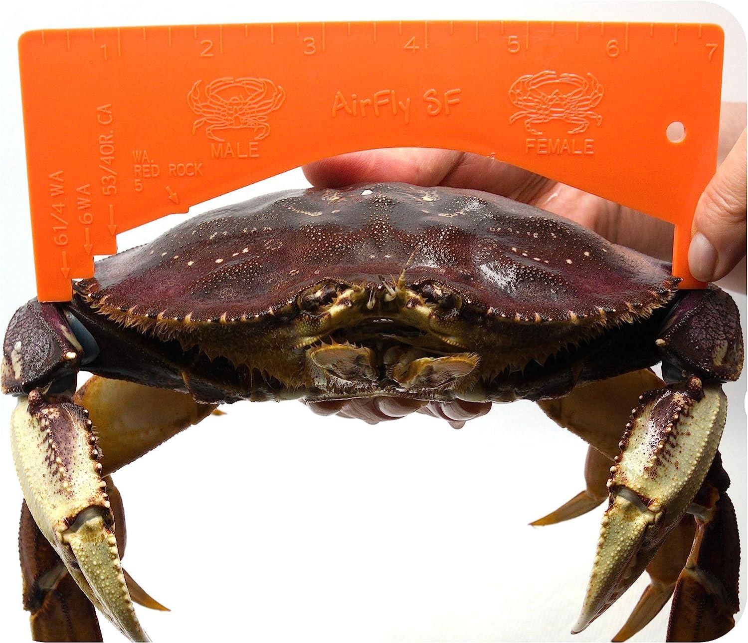 AirFly Crab Gauge - Accurately Measure Dungeness & Rock Crabs - Convex ...