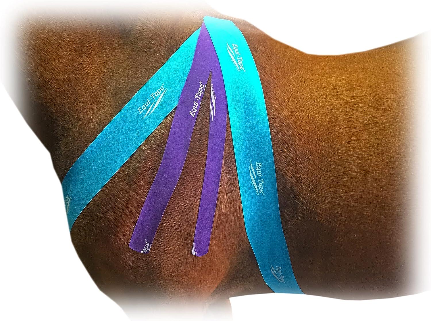 Equi-Tape Advantage 3 Light Blue Tape for Horse & Pony - Muscle Pain ...