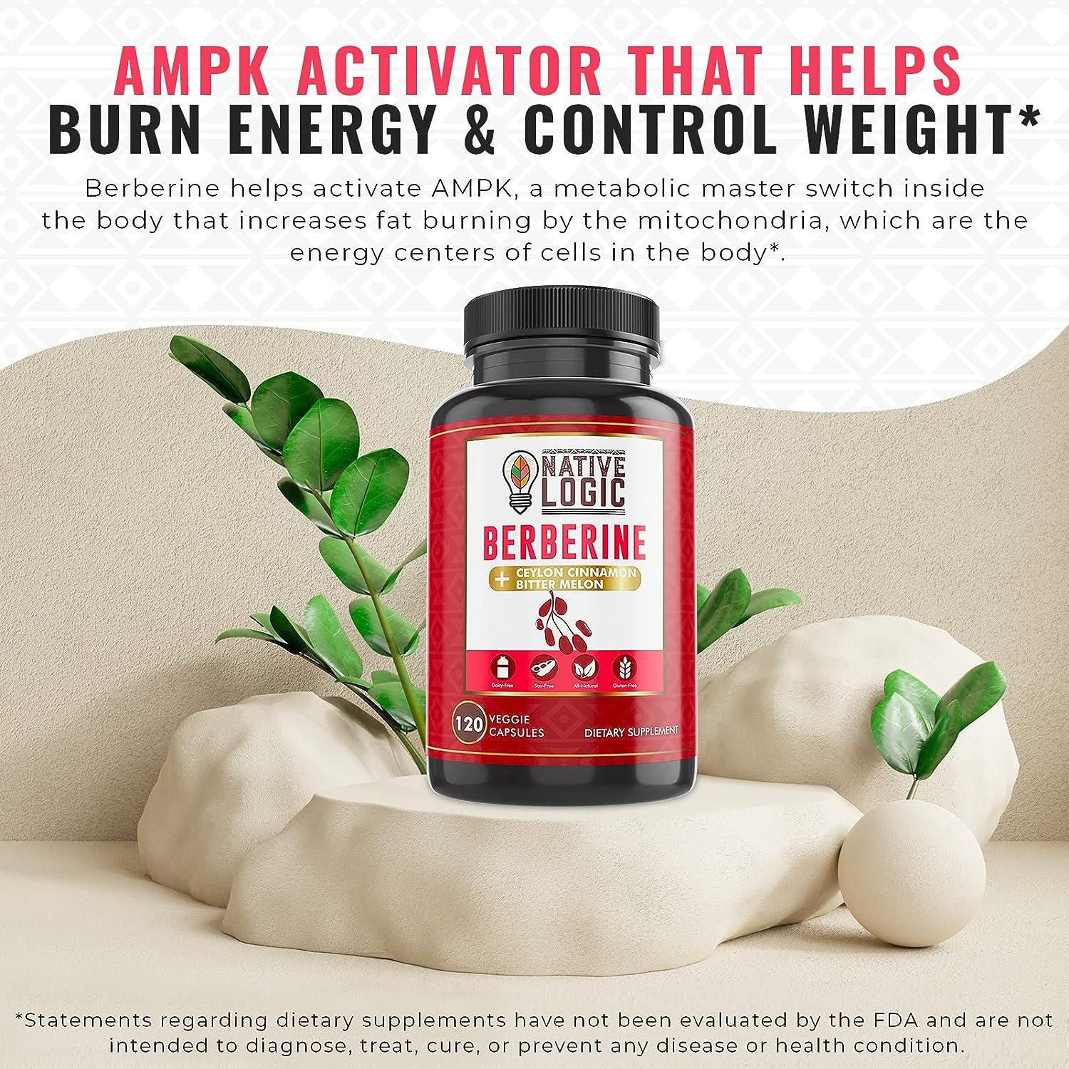 Berberine HCL 1200mg with Ceylon Cinnamon, Bitter Melon & Green Tea | Supports Cardiovascular ...