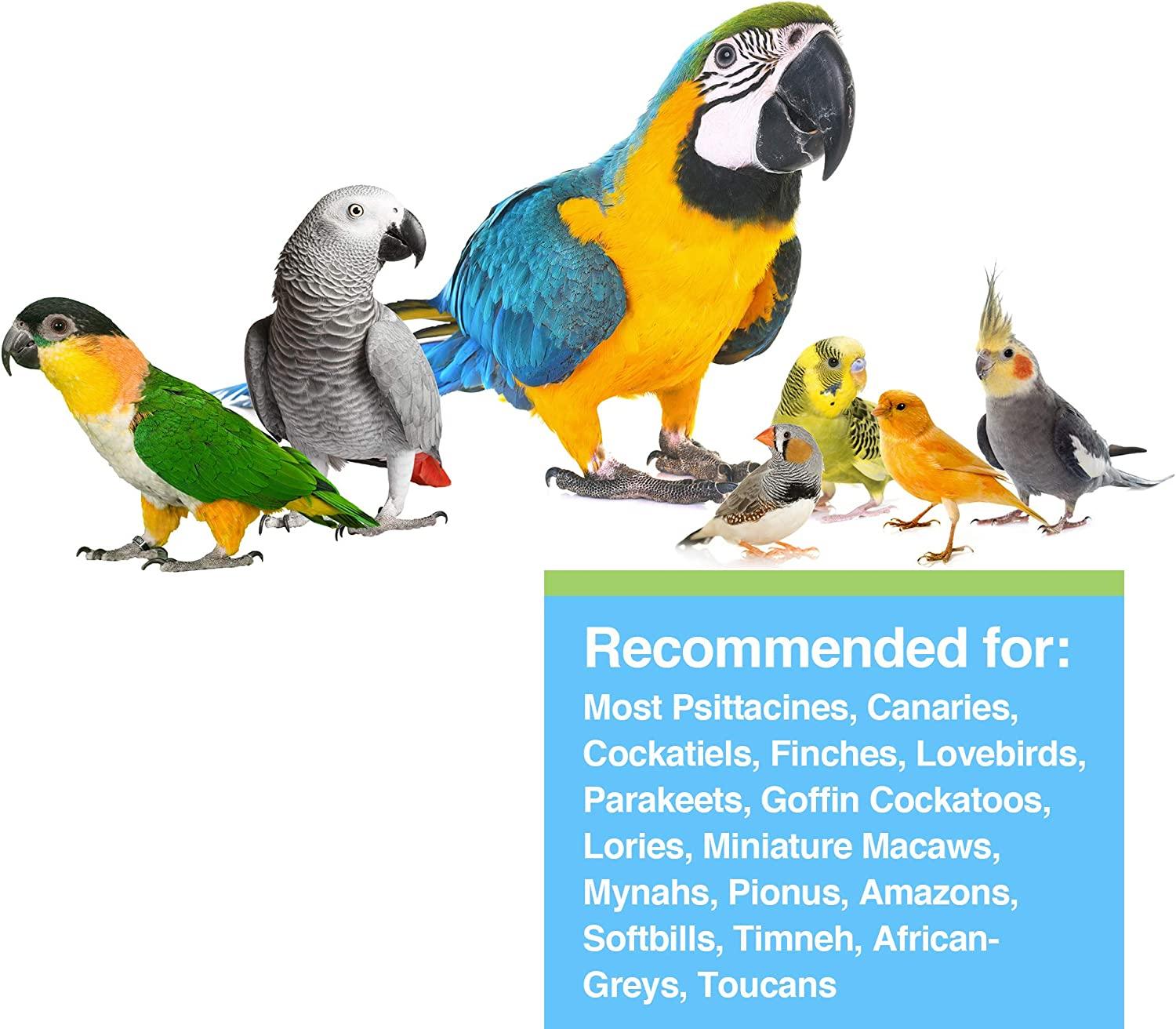 Hagen All Birds Prime Vitamin Supplement 1.1 oz - Essential Bird ...