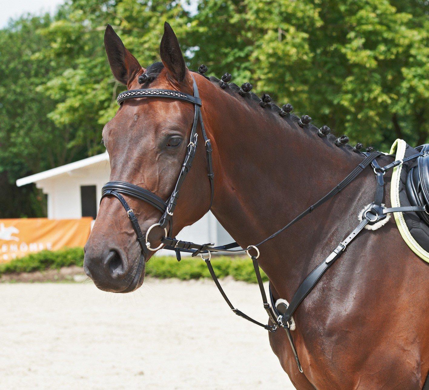 Buy SOLIBEL Black Breastplate - Stainless Steel Fitting (1 Piece ...