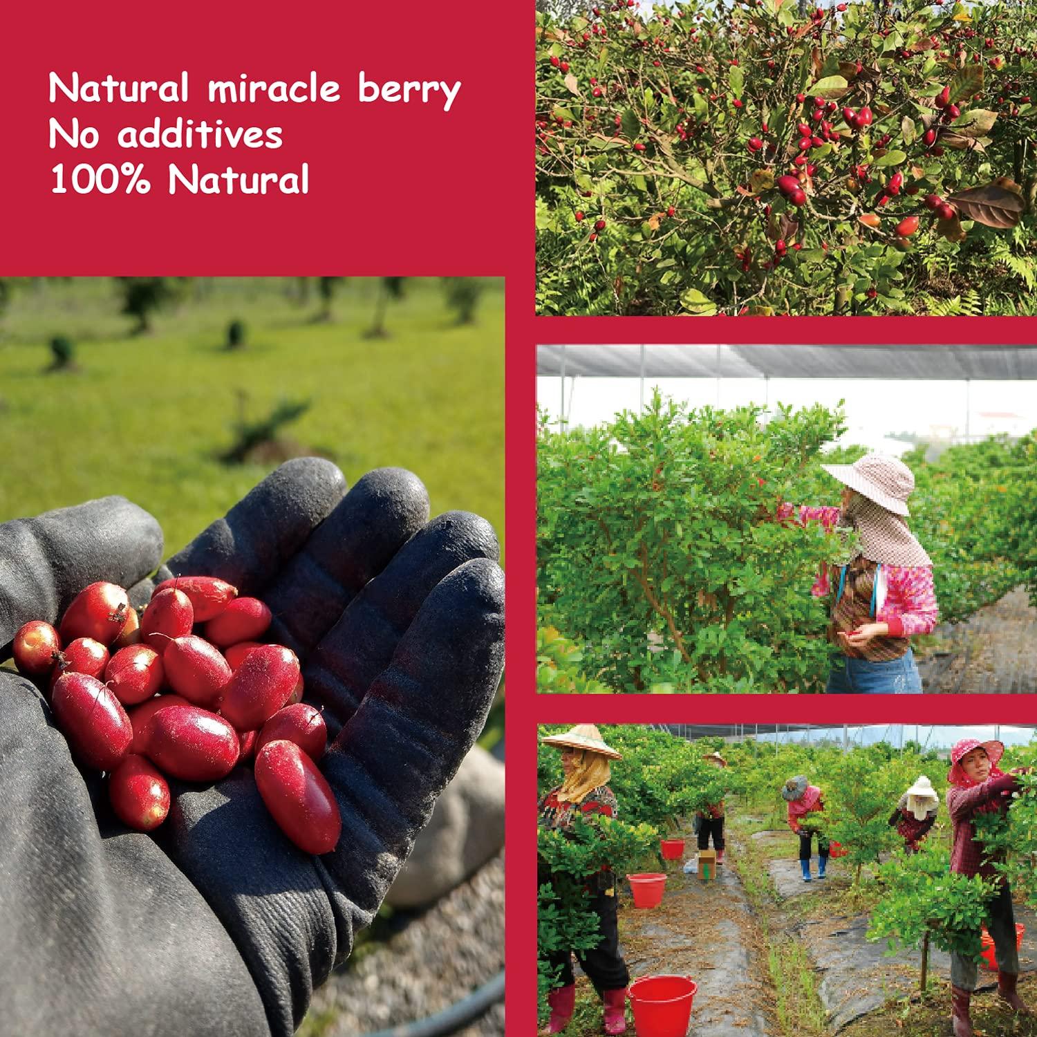 Miracle Berry Tablets - Flavor Changing, All Natural, Freeze-Dried ...