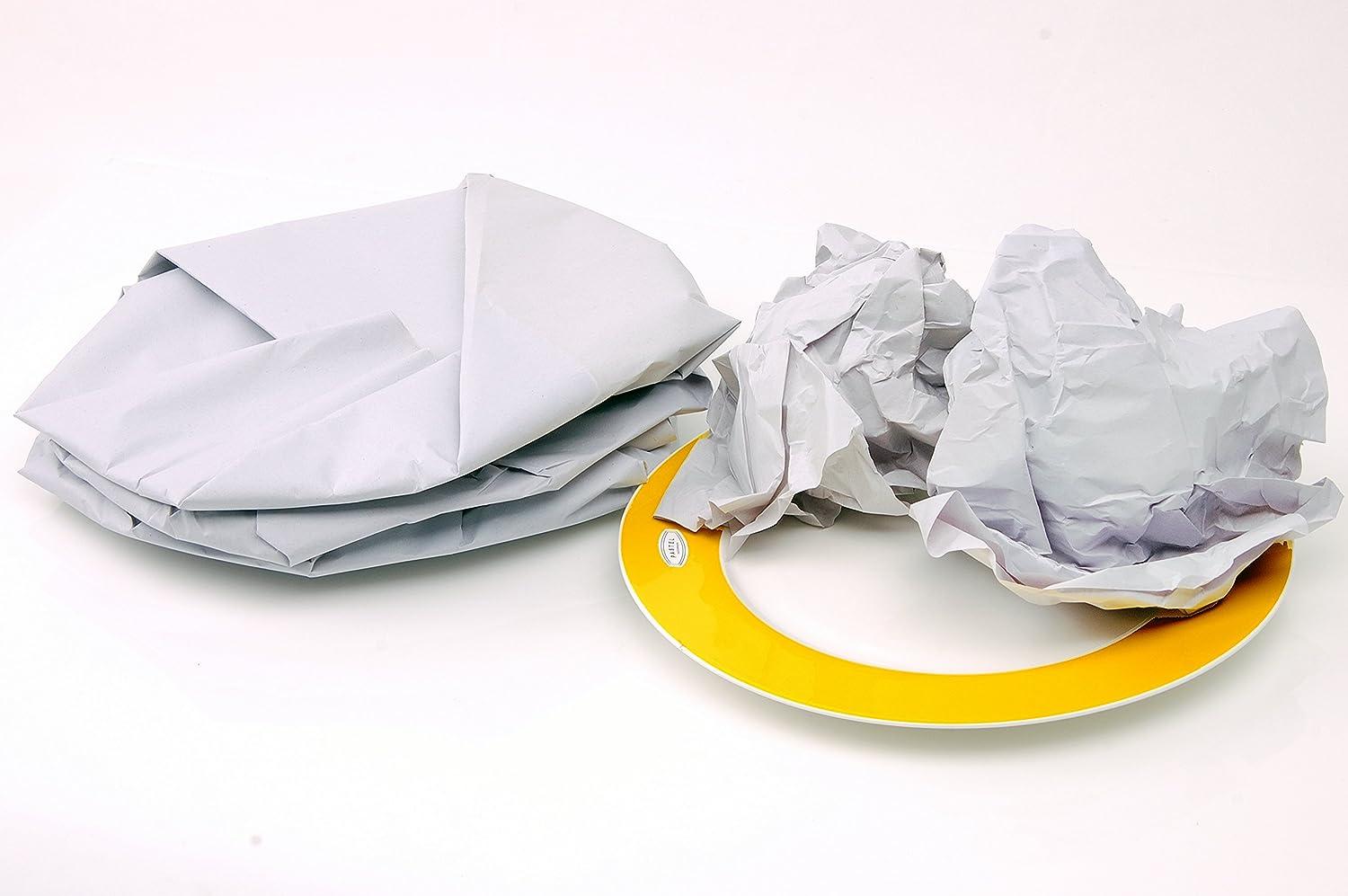 10 Pounds of Quality Packing Paper by Tenby Living 31 x 21.5 inch 10 ...