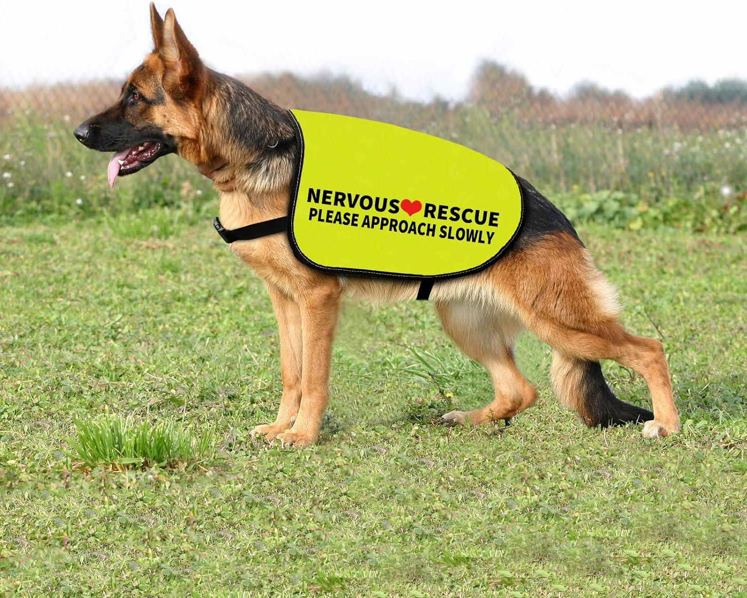 Rescue Dog Jacket Vest Nervous Rescue Please Approach Slowly Dog Vest ...