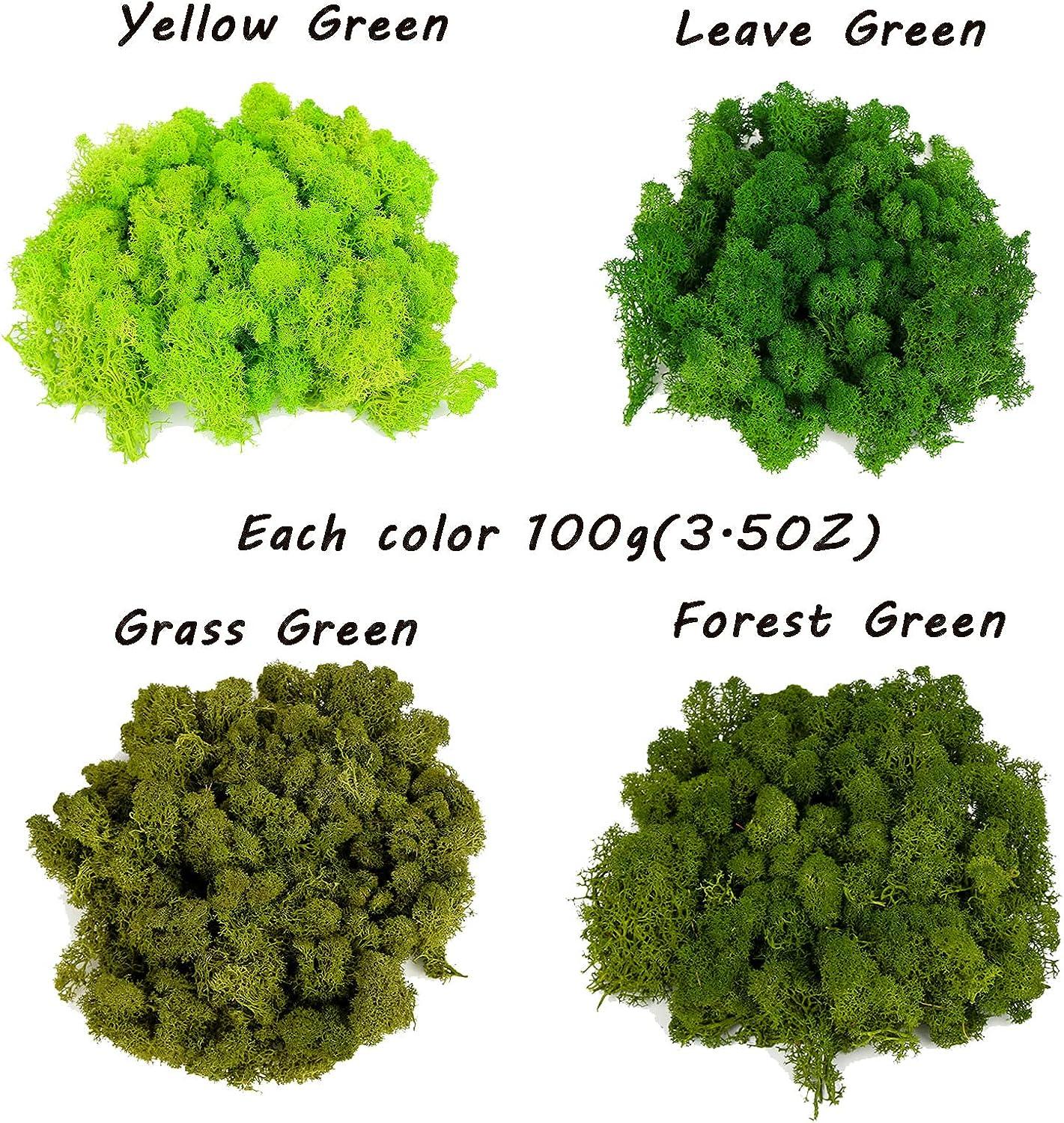 14OZ Preserved Reindeer Moss 4 Color Mix for Crafts & Decor - Forest ...