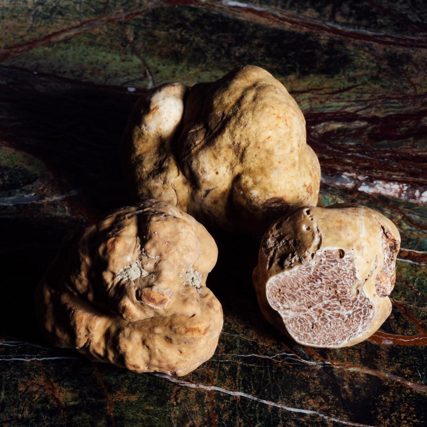 Valnerina Tartufi Whole Precious White Truffle | Extra First Choice ...