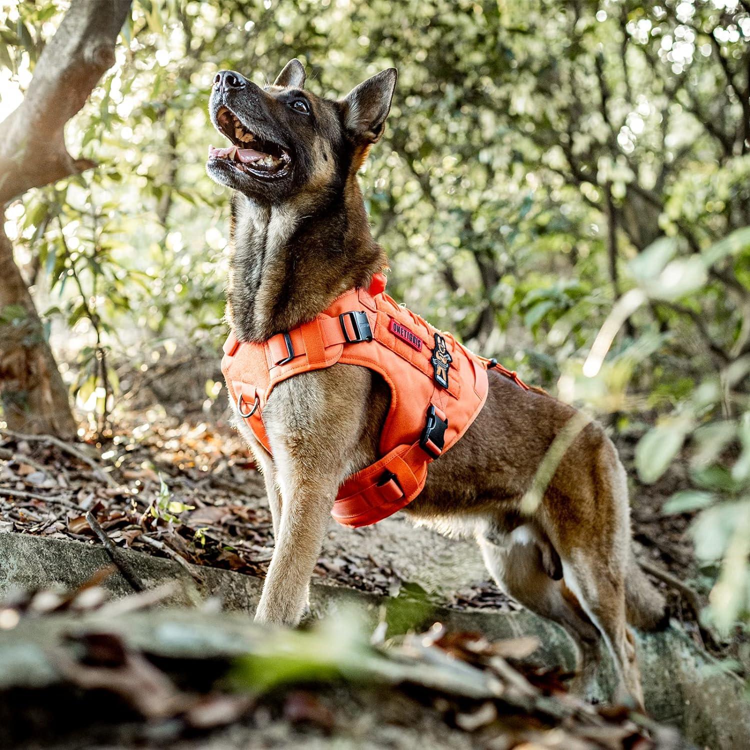 Oneigris Fire Watcher 2.0 Tactical Dog Harness - Molle Safety Vest with ...