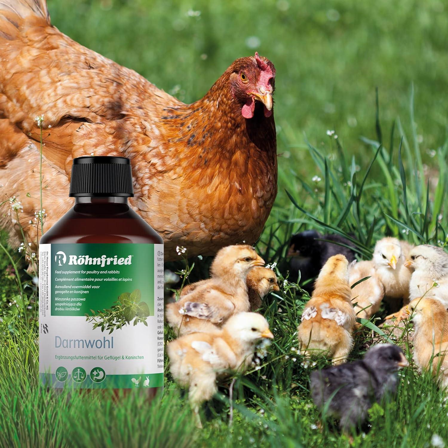 R hnfried Darmwohl - Enhance Digestion for Rabbits Rodents & Small Animals (250 ml ...