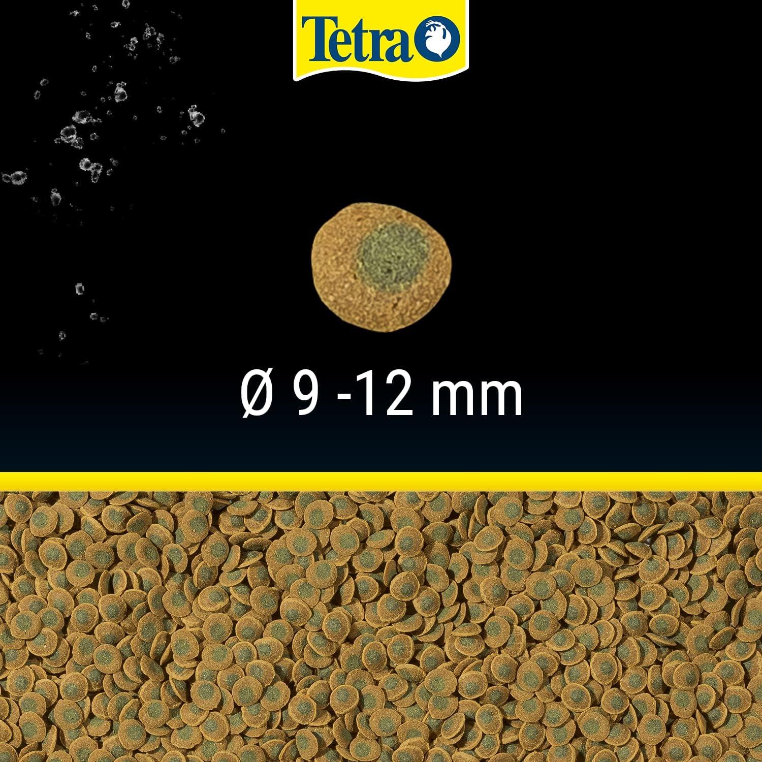 Tetra Pleco Veggie Wafers - Healthy Fish Feed for Herbivorous Fish | Mineral-Rich Zucchini ...