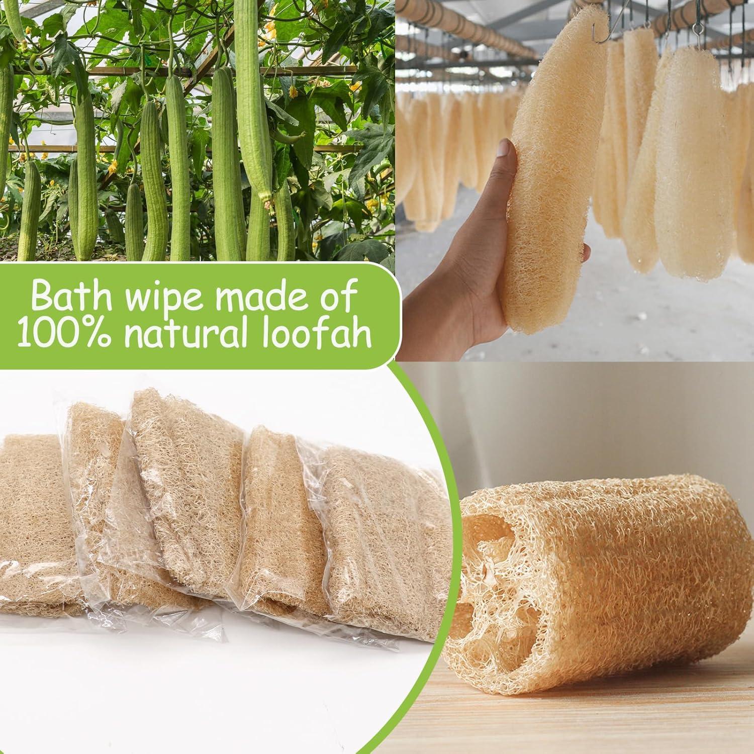Buy 10 Pcs Kheoxusa Individually Wrapped Natural Loofahs - Exfoliating ...