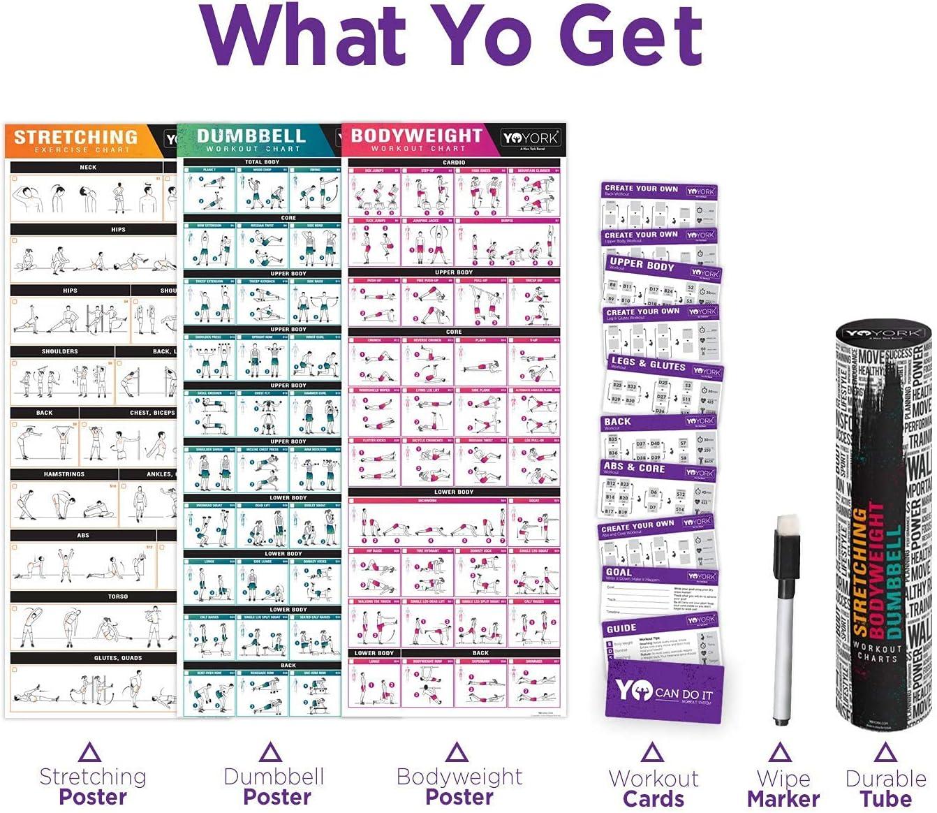 YoYork Stretching & Bodyweight Training Exercise Posters - Home Gym ...