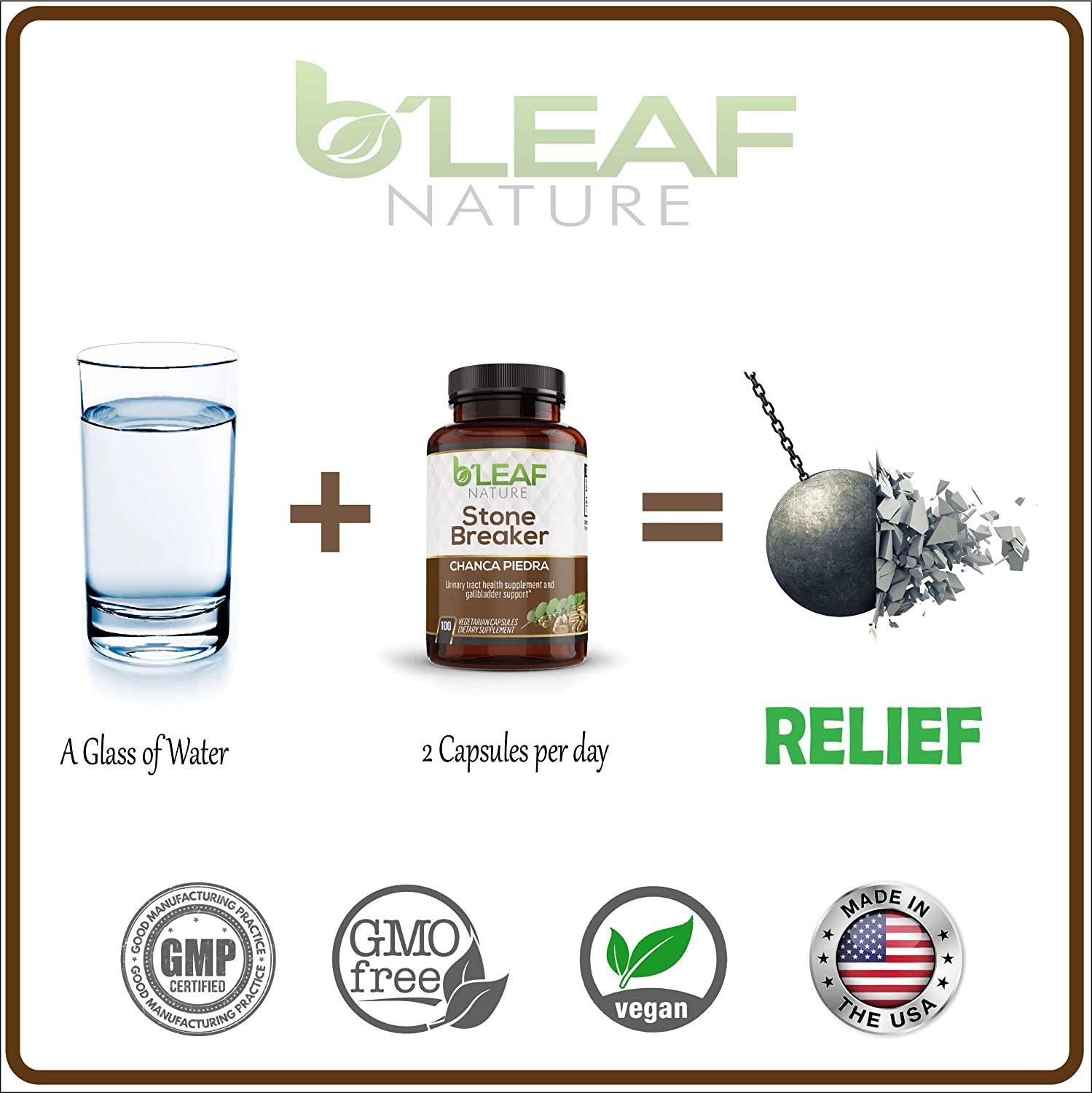 Stone Breaker Chanca Piedra Extract 1000mg - Urinary Tract ...