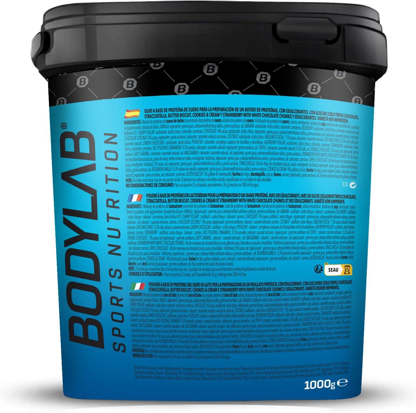 Bodylab24 Whey Protein Powder - Triple Chocolate 1kg - Premium Quality ...