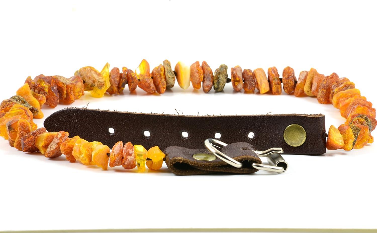 Raw Baltic Amber Dog & Cat Chain Collar - Elegant Flea & Tick ...