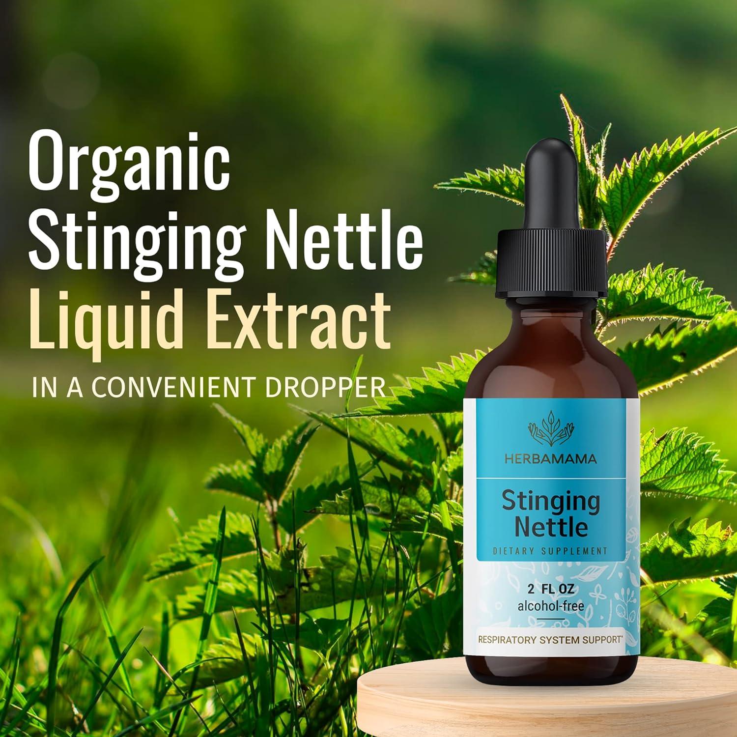 HERBAMAMA Organic Stinging Nettle Root Tincture - Urtica Dioica Herbal ...