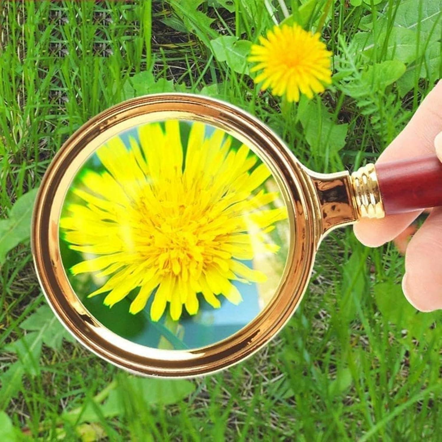 Portable Magnifier Hand-Held Disassembly 10 Times Hd Optical Lens for ...
