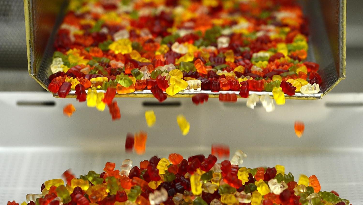 HARIBO Haribo Gold Bears Giant Party Size Tub 1400 Grams of Teddy Bear ...