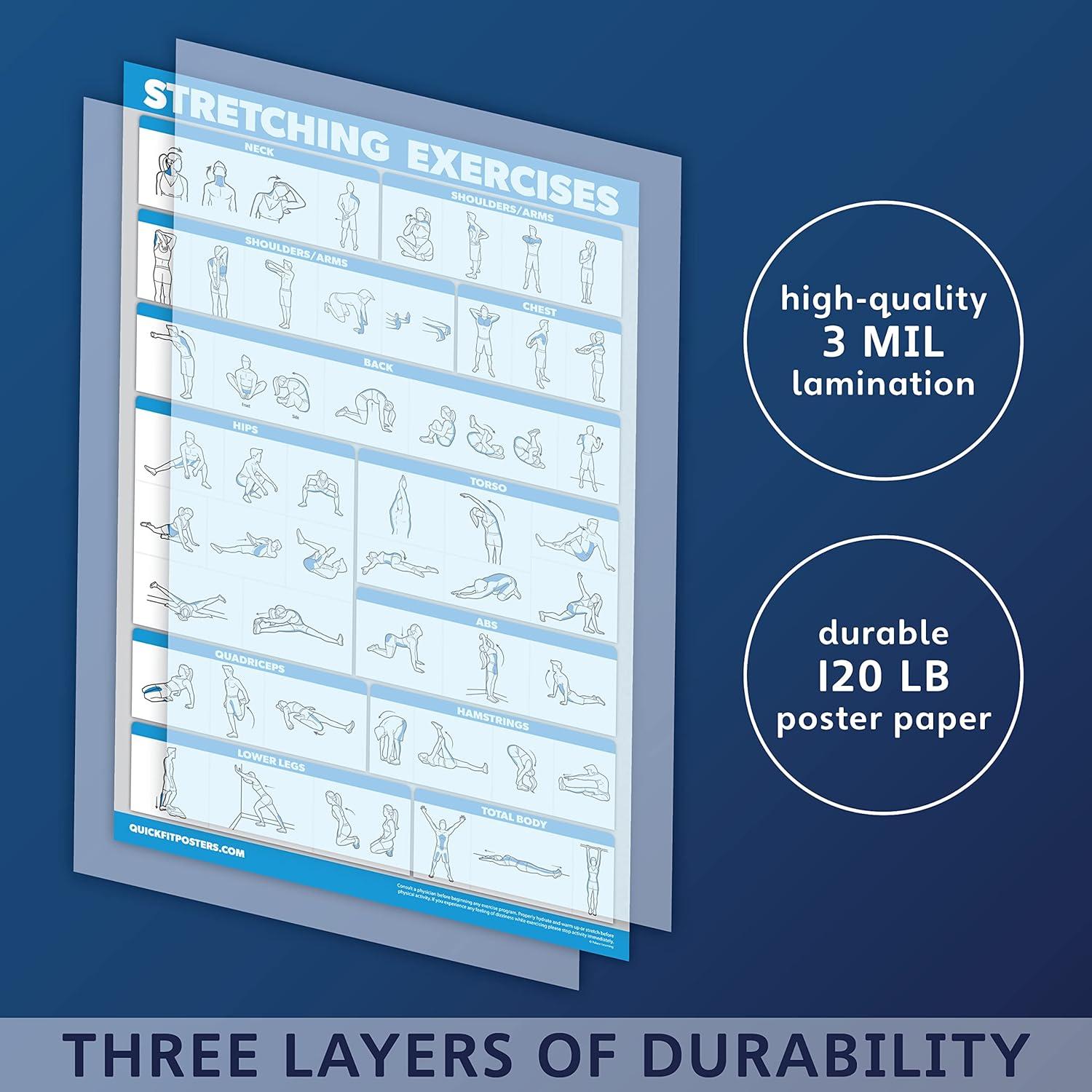 QUICKFIT Exercise Poster - Laminated Stretching Workout Routine (45.7 x ...