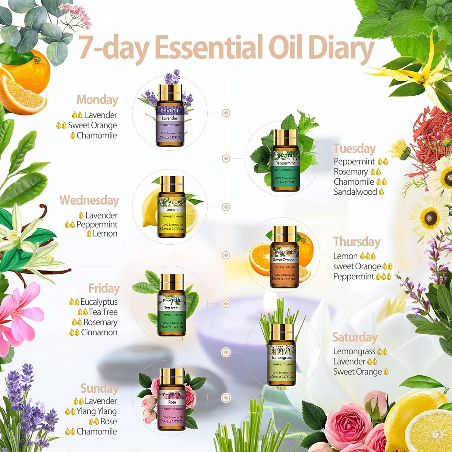 PHATOIL Essential Oils Gift Set 15 x 5ml, Pure Essential Oil ...