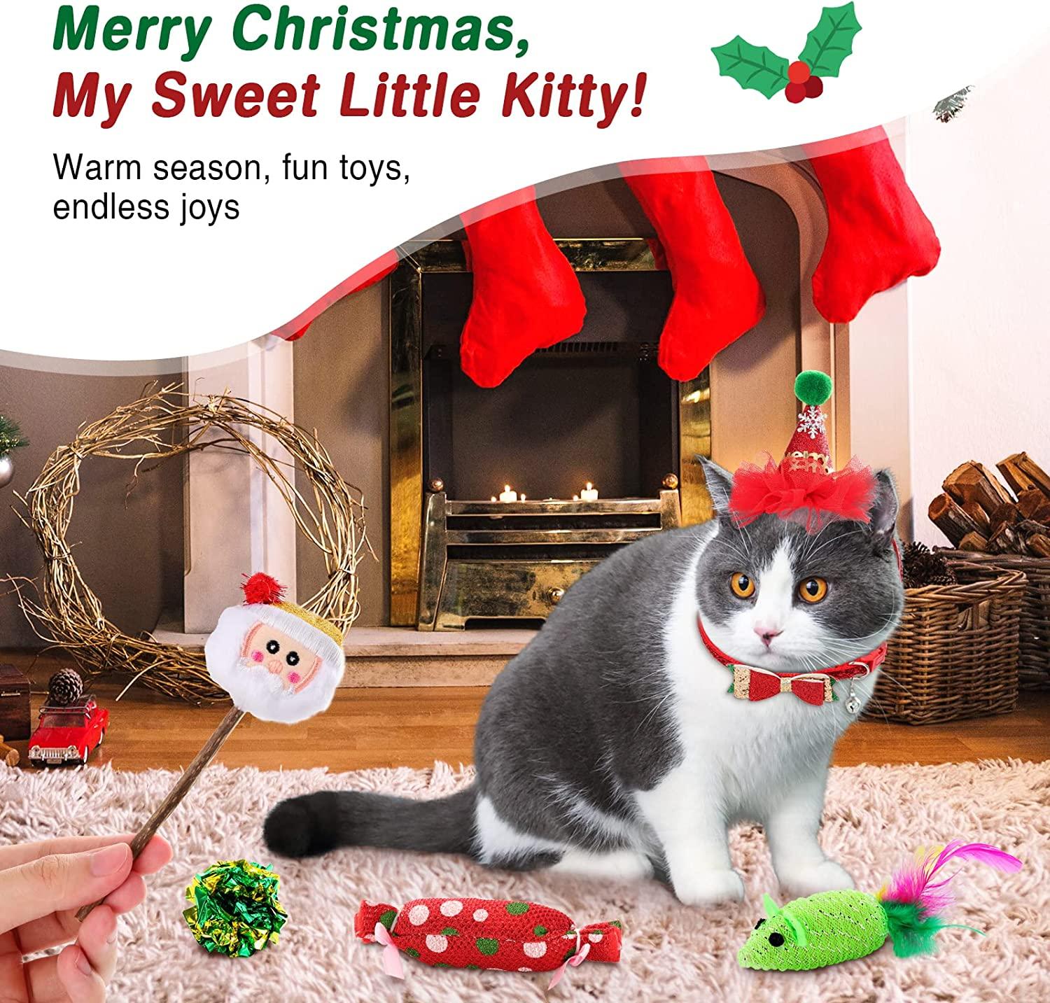 VavoPaw Christmas Stocking Cat Toys - Interactive Santa Claus Teaser ...