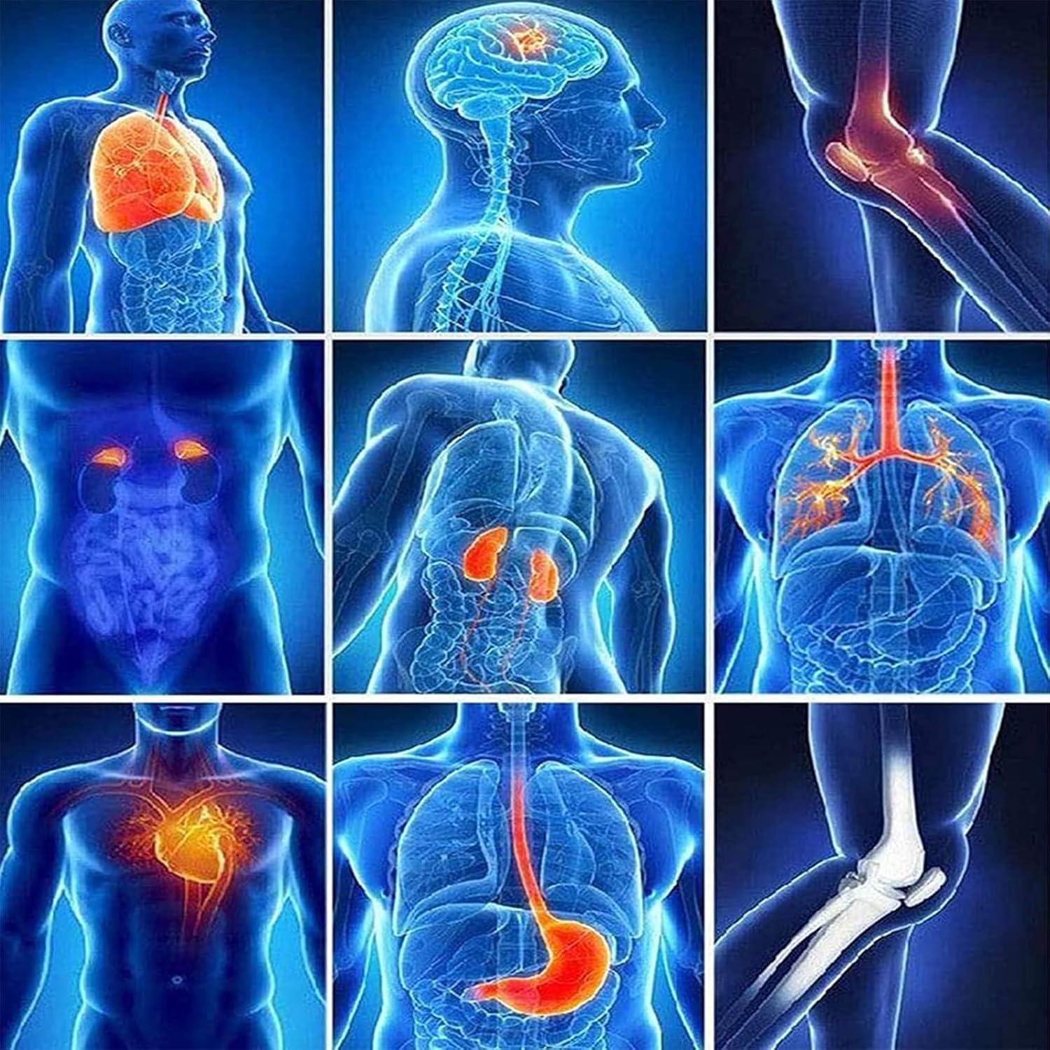 Quantum Magnetic Health Analyzer Sub-Health Body Detector with Full ...