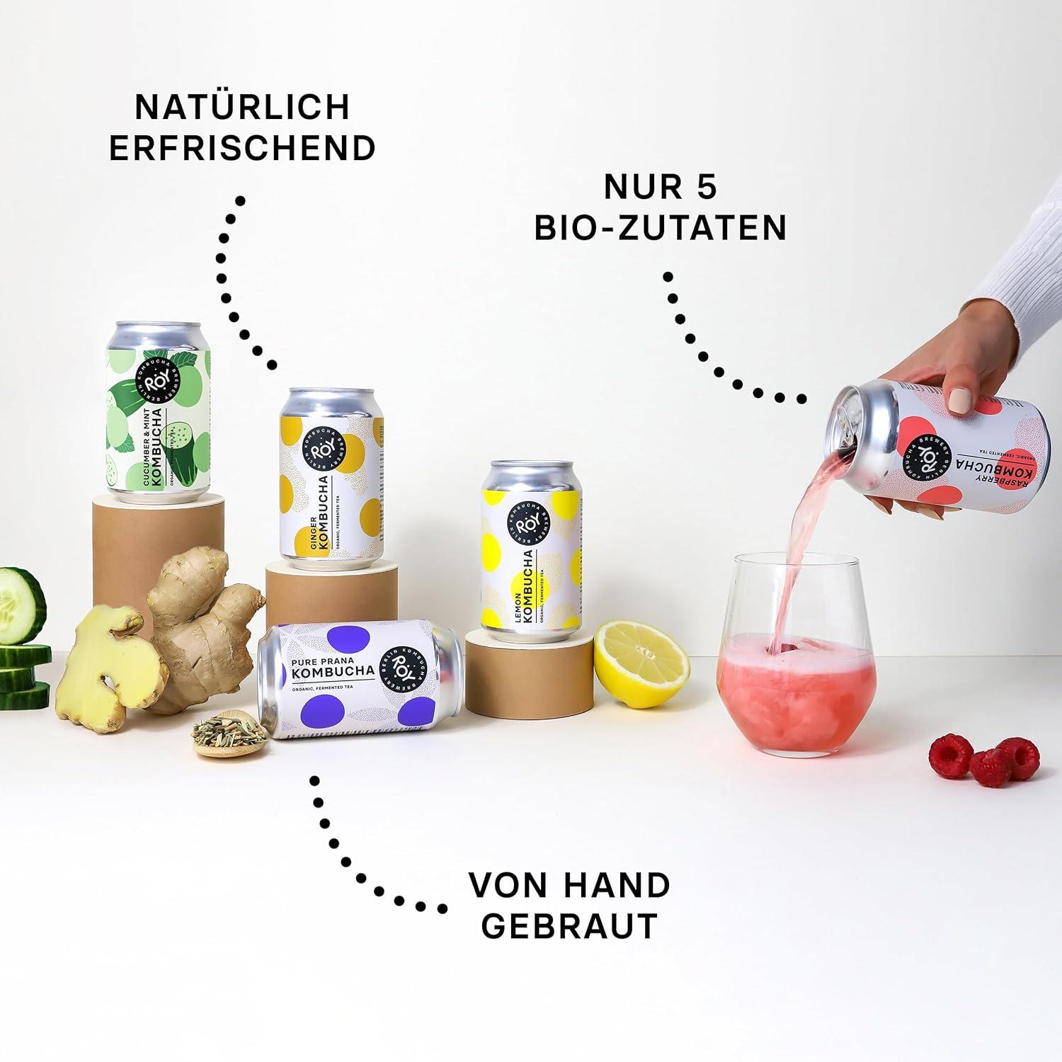 Roy Pure Prana Kombucha 6-Pack - Handmade Vegan & Gluten-Free 330ml Bio ...