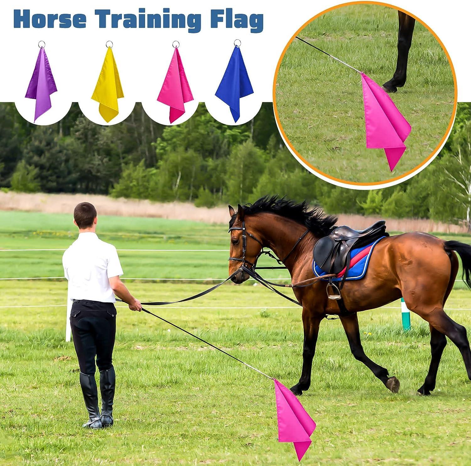 Equestrian Training Flag 4 Pieces Equestrian Training Equipment ...