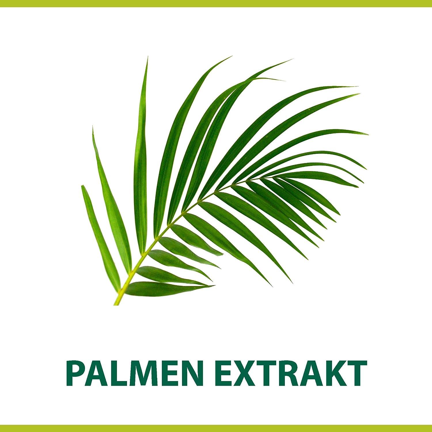 Palmolive For Men Classic Shave Cream with Palm Extract 100ml | Buy Now ...