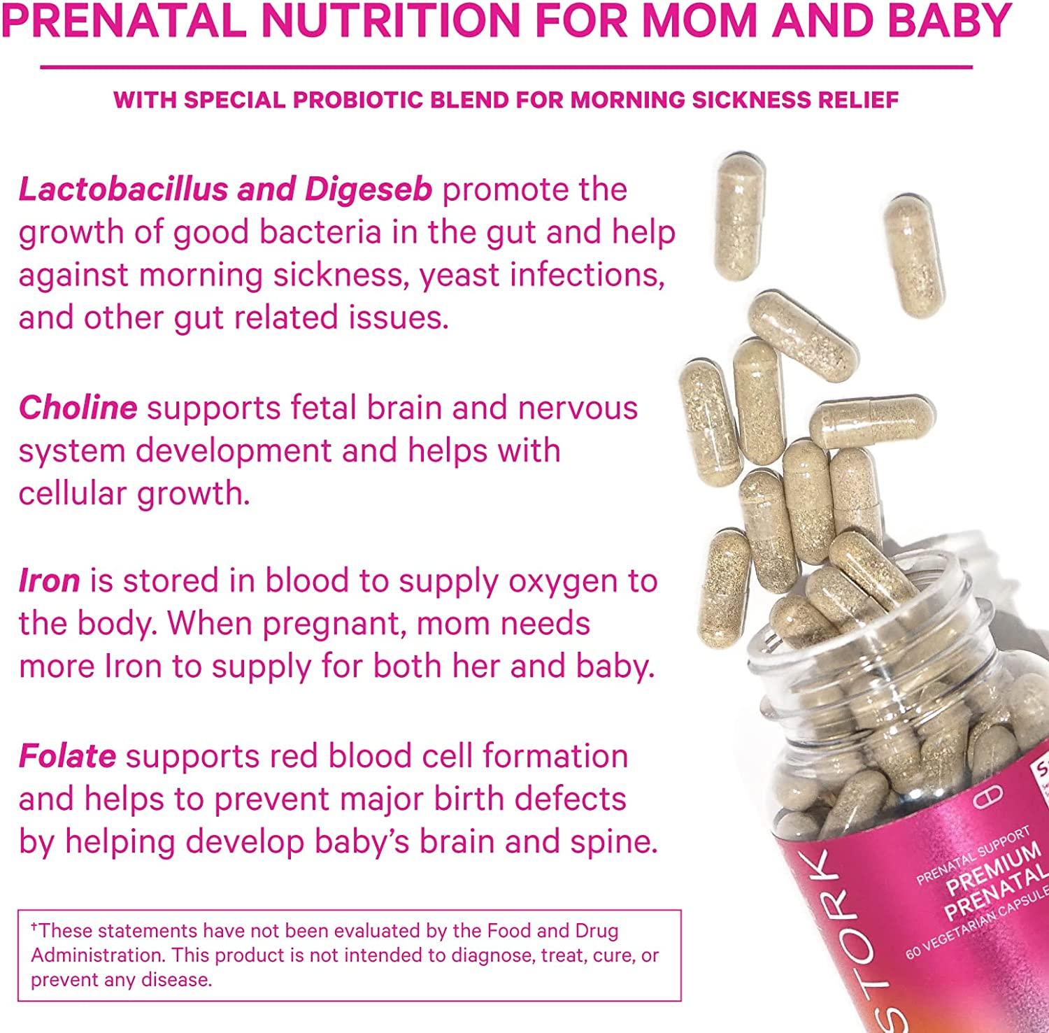Pink Stork Premium Prenatal Vitamins - Organic Whole Food Ingredients ...