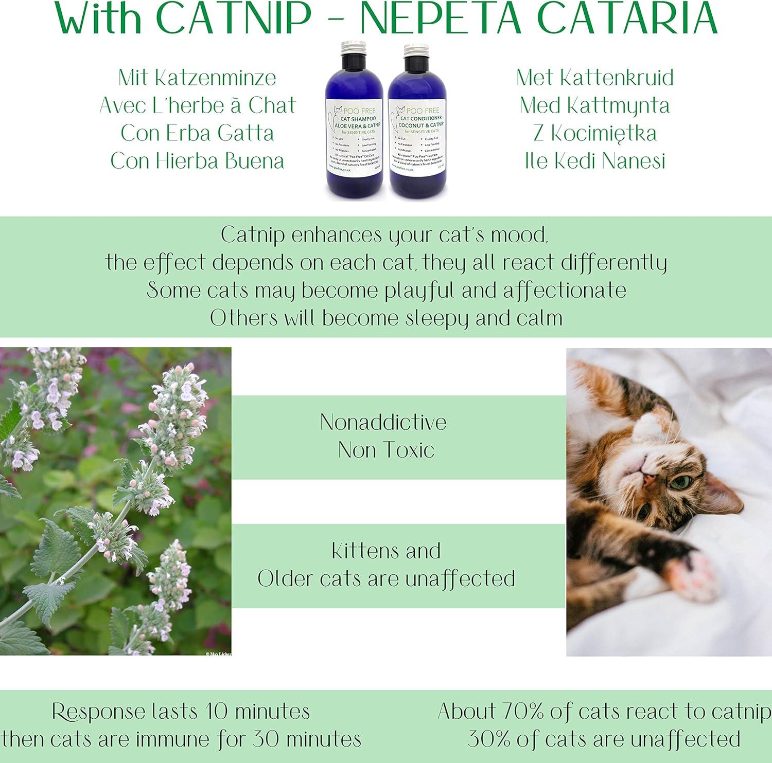 Poo Free - 99% Natural Aloe Vera Catnip Shampoo for Cats | Sulfate ...