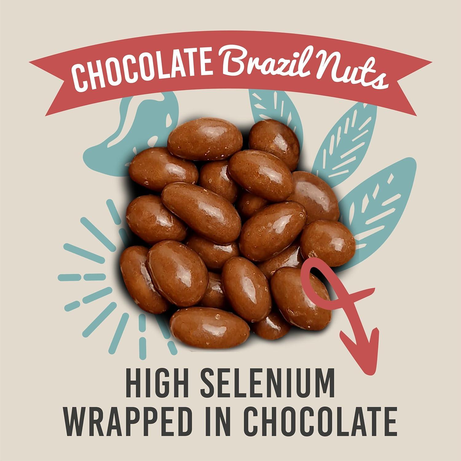 Sunburst Whole Chocolate Coated Brazil Nuts Non GMO 1 kg | Buy Now with ...