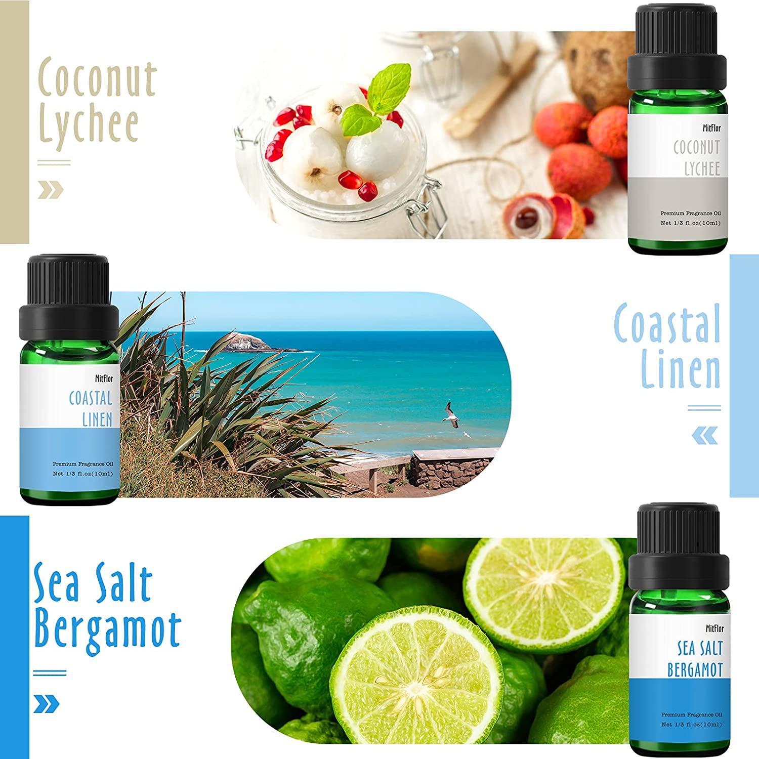 Beach Fragrance Oil Gift Set - Coastal Linen, Pink Sands, Ocean Mist ...