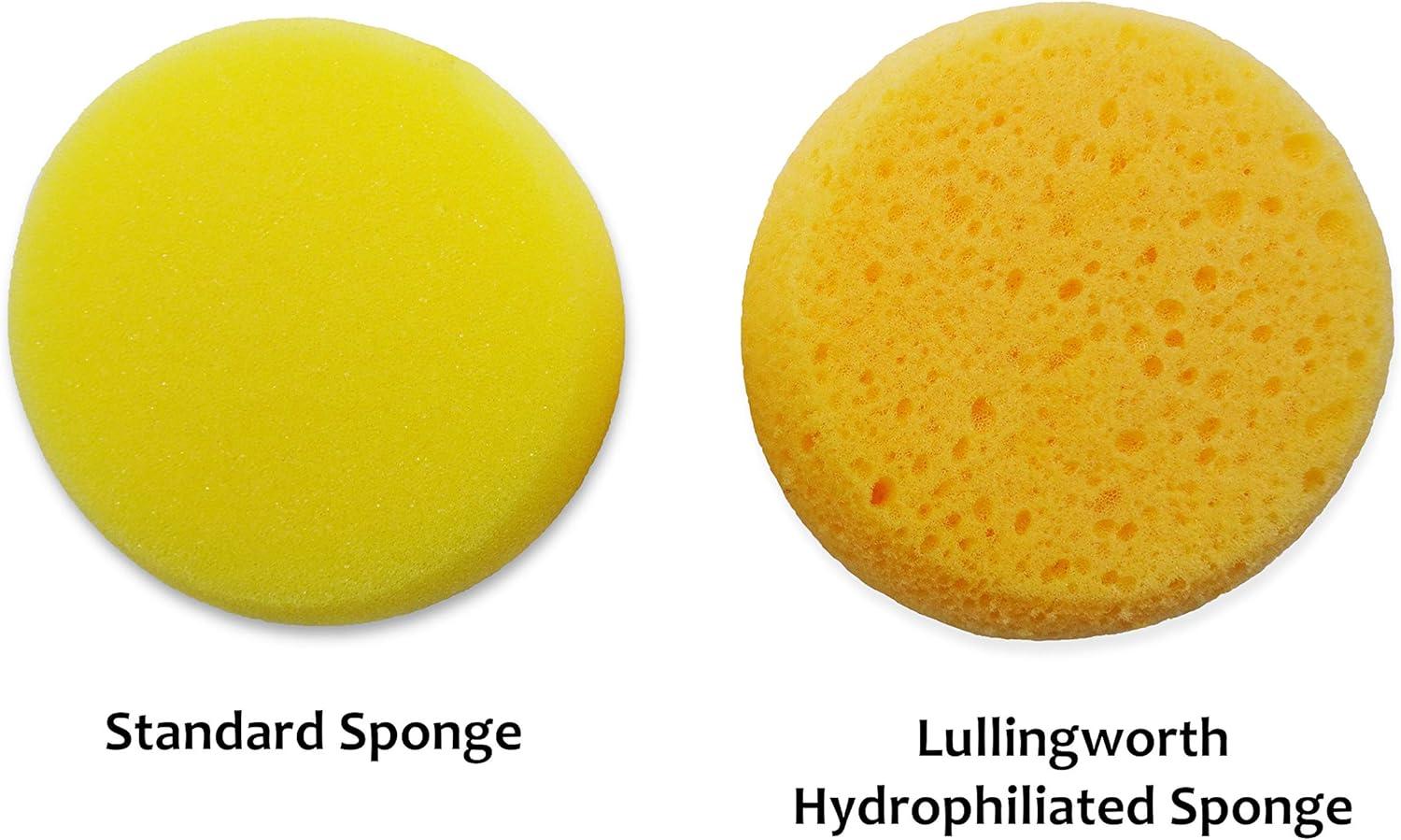 Premium Synthetic Art Crafts Sponges - 6pc Value Pack for Painting ...