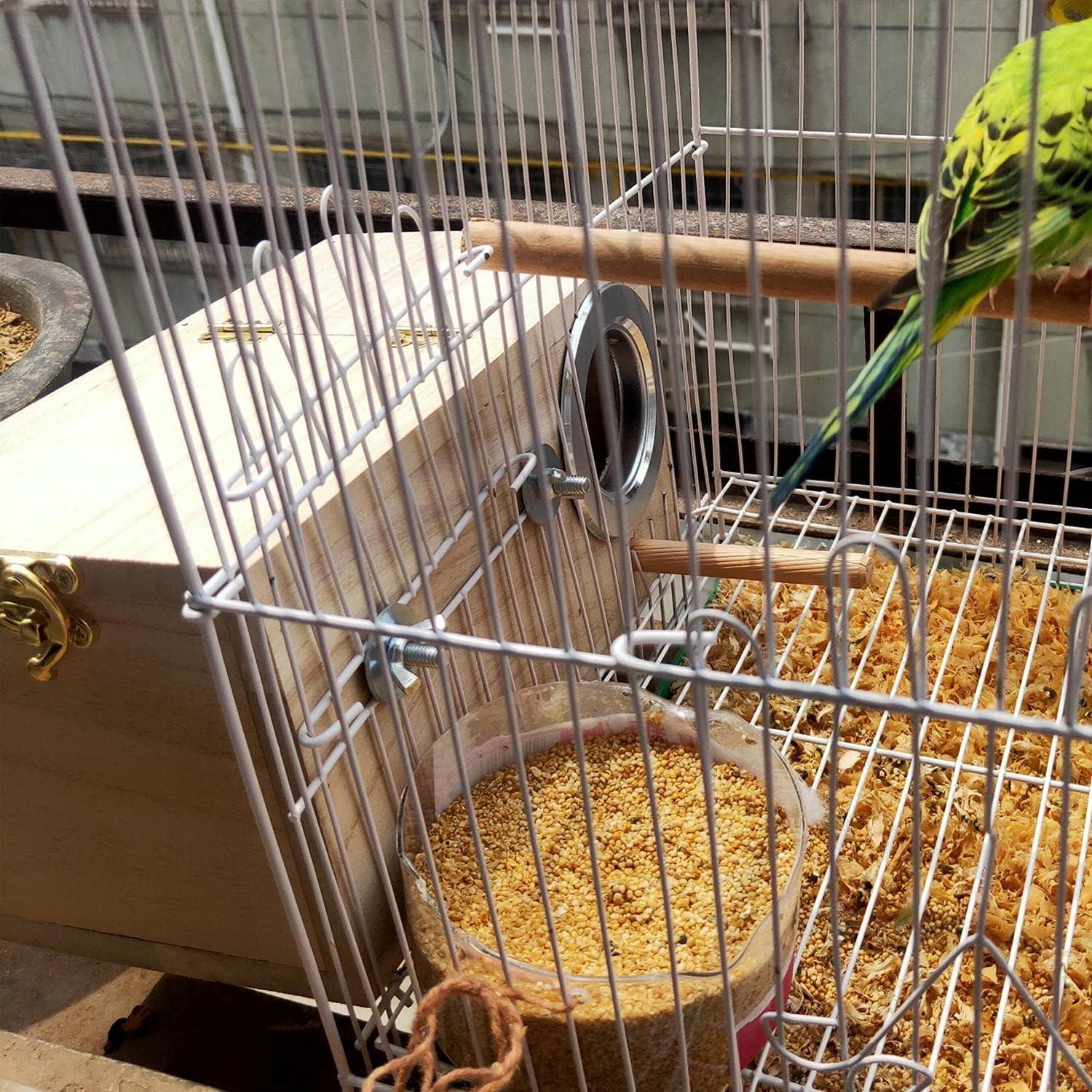 Wooden Parrot Breeding Box for Birds - Budgie, Cockatiel, Parakeet ...