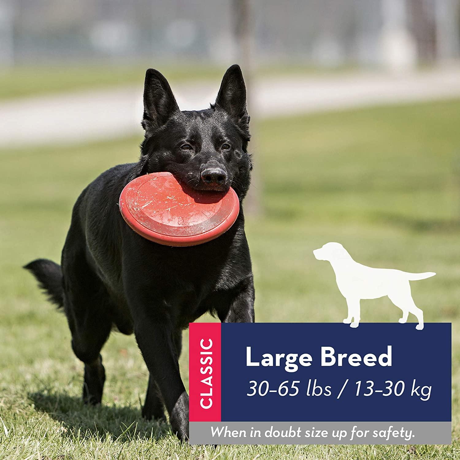 KONG Flyer Large - Durable Rubber Flying Disc Dog Toy | Buy Online ...