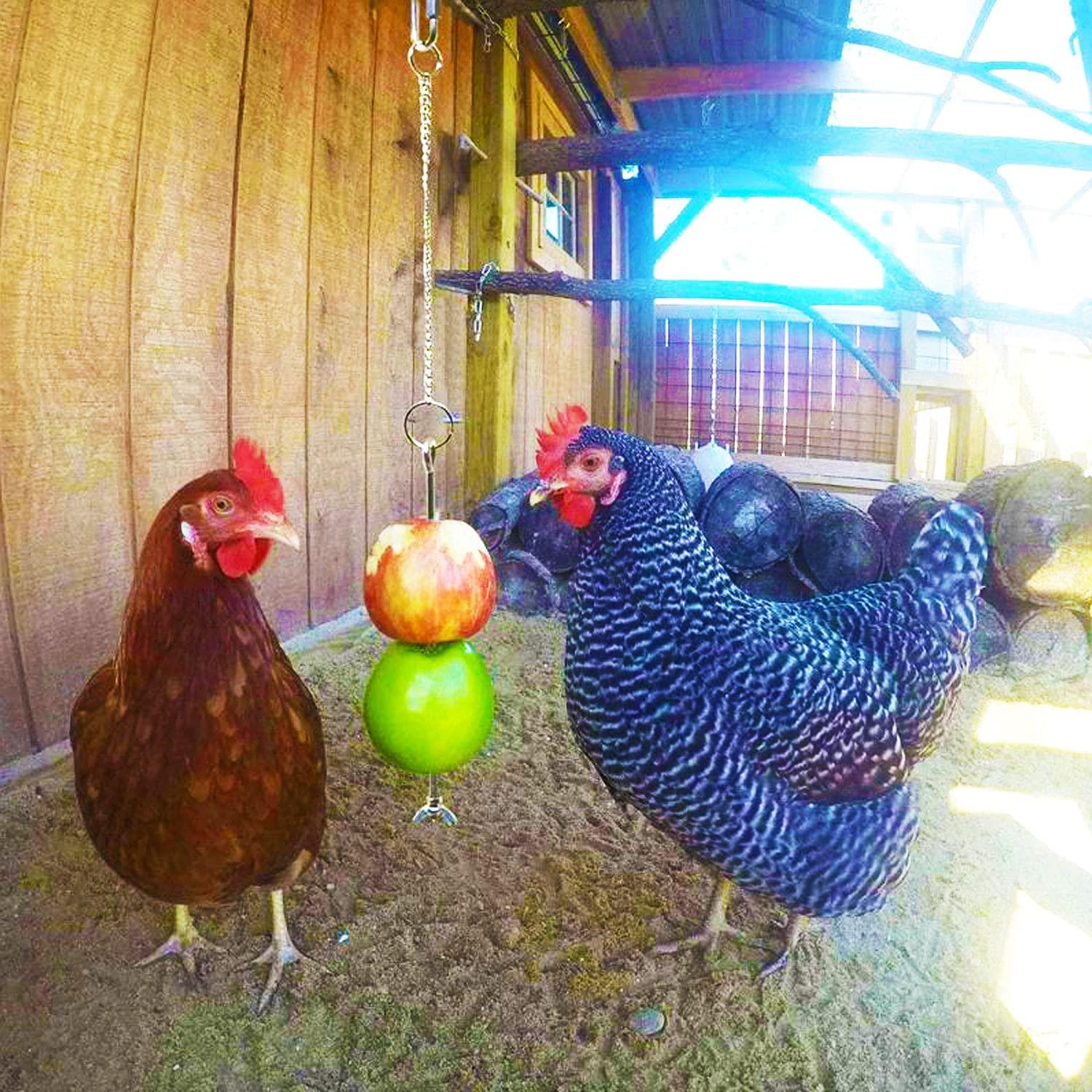 7-Pack Chicken Toys Set: Xylophone, Bridge Swing, Mirror, Pecking Toys ...