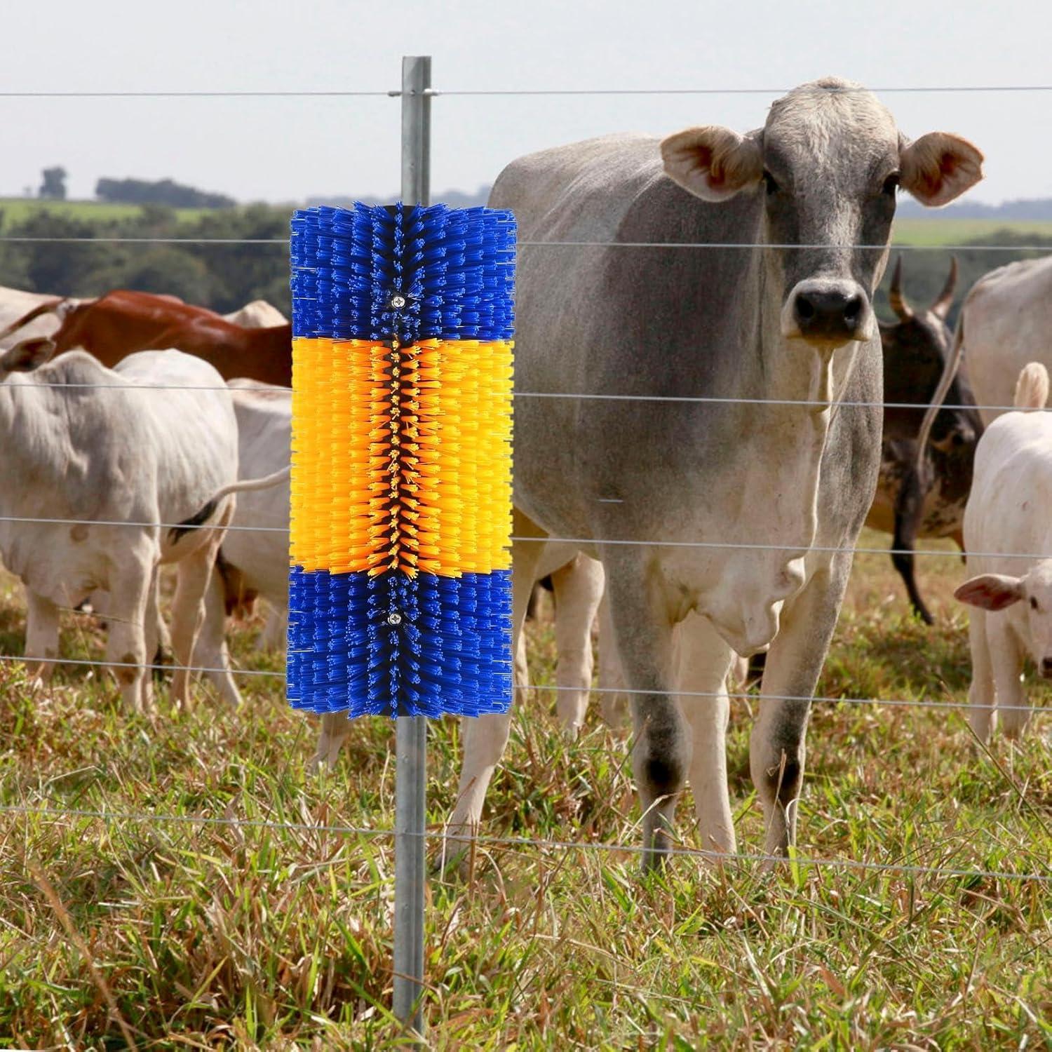 cow scratch brush