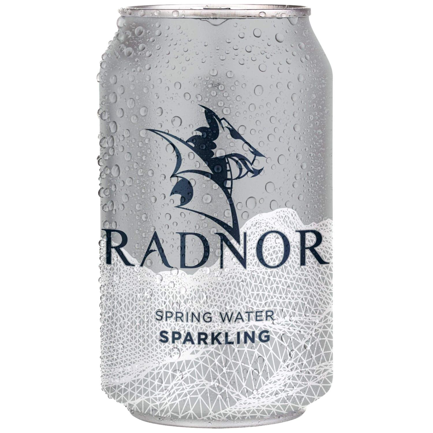 Radnor Hills Sparkling Spring Water Cans - 24 Pack (330ml per can ...