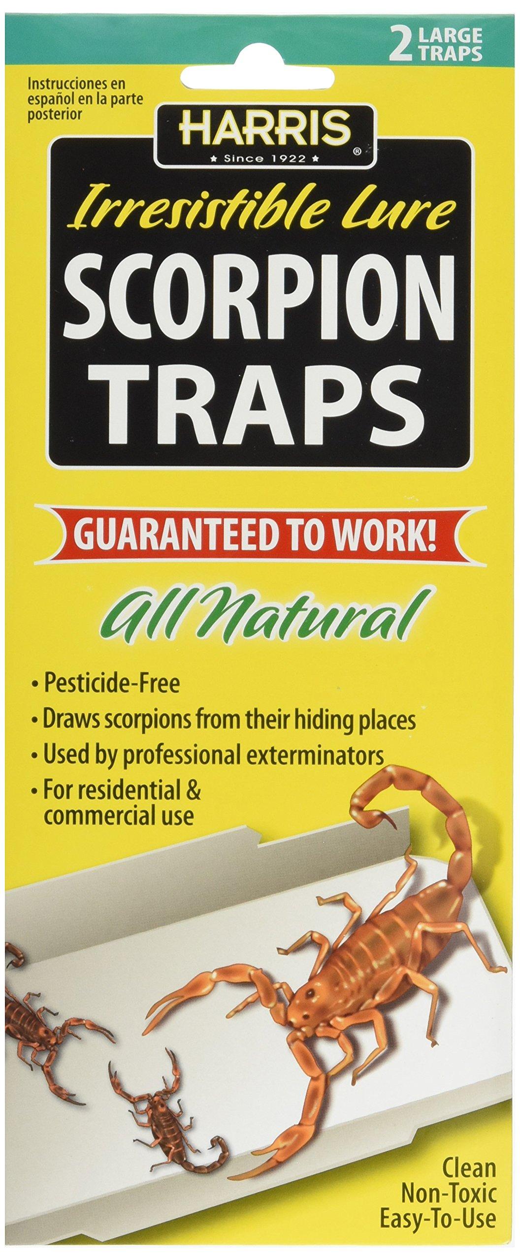 Scorpion Traps with 25 Irresistible Lures (2 Pack) - Effective Pest ...