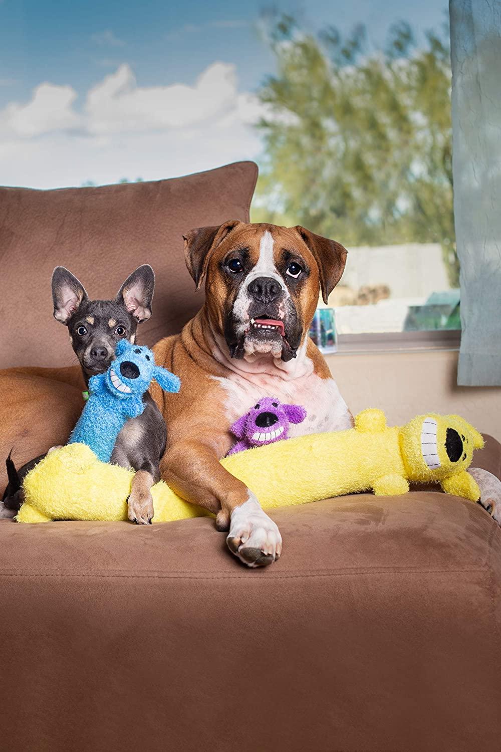Multipet Loofa Plush Dog Toy - 6 inches (Colors May Vary) | Buy Now ...