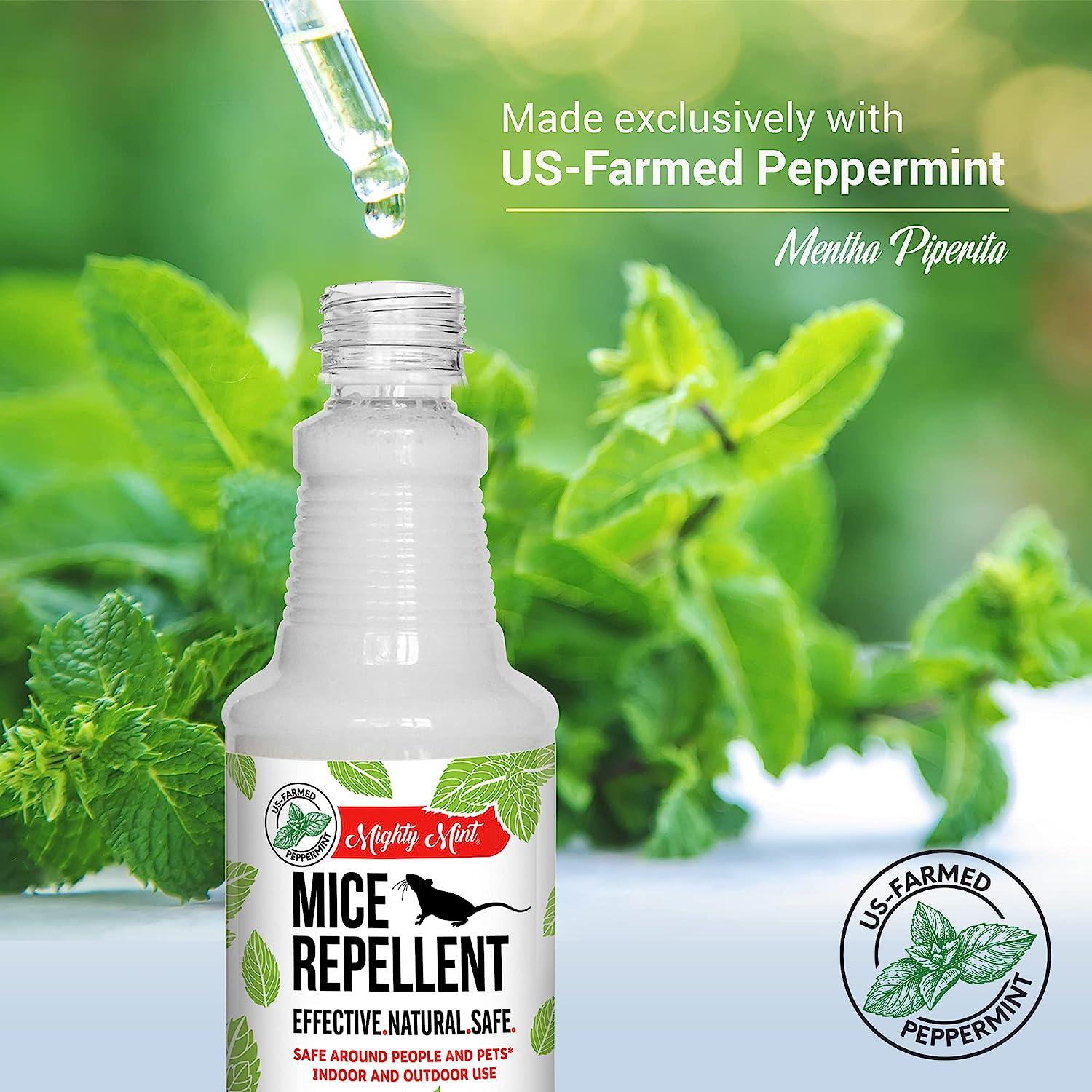 Mighty Mint 16oz Peppermint Oil Mice Repellent Spray - Natural Rodent ...