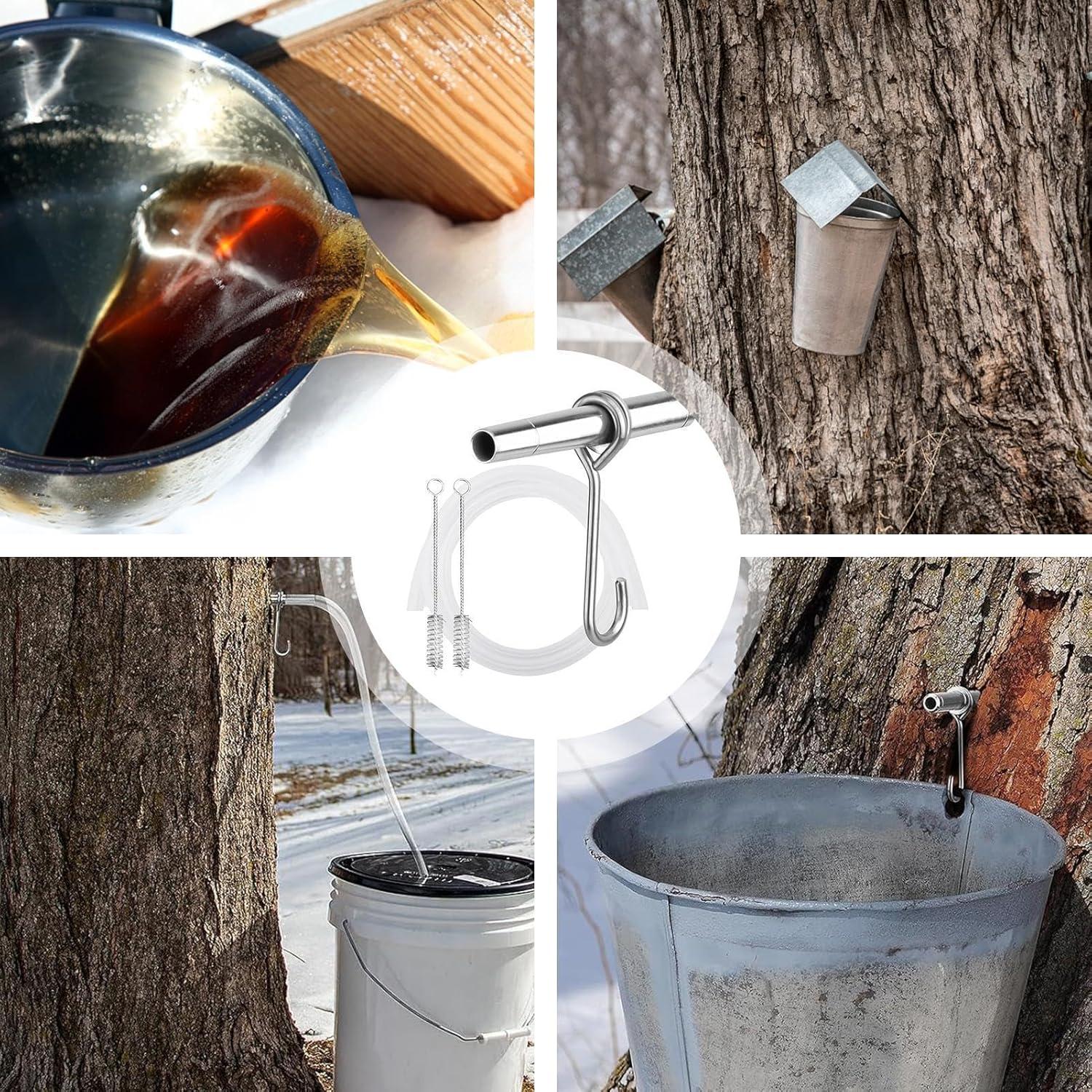 Maple Syrup Tapping Kit - Stainless Steel Maple Tree Taps Spiles for ...