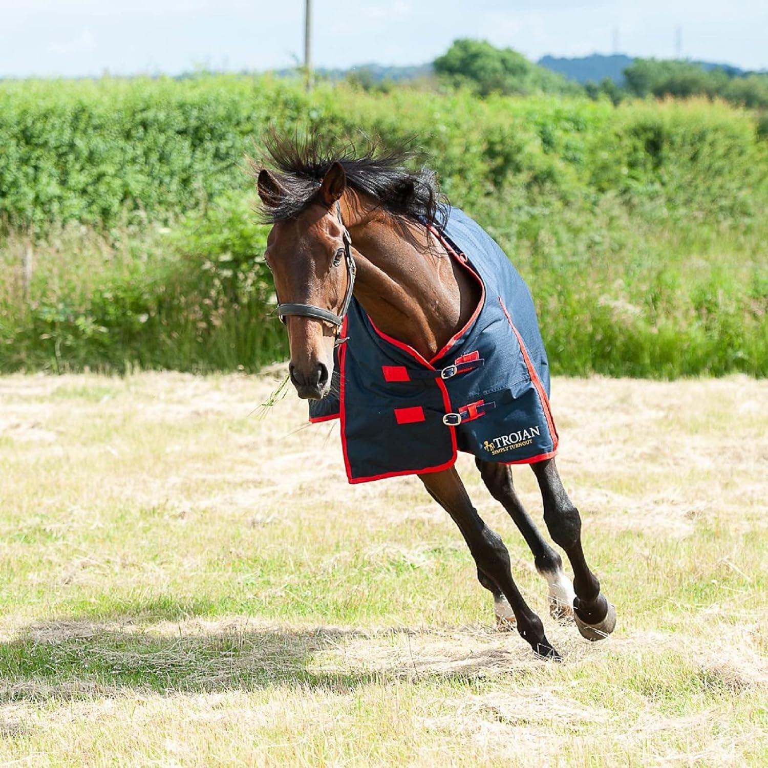 Gallop Trojan 600d Standard Neck 200g Turnout Rug 6'0" (EU 135cm) | Buy ...