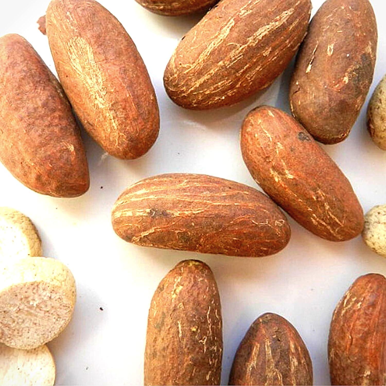 African Bitter Kola Nuts - 100% Natural Organic Garcinia Kola Seeds 8 ...