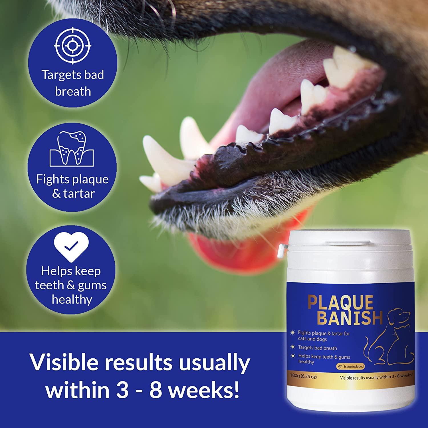 Plaque Banish 100% Natural Plaque Off & Tartar Remover for Dogs & Cats ...