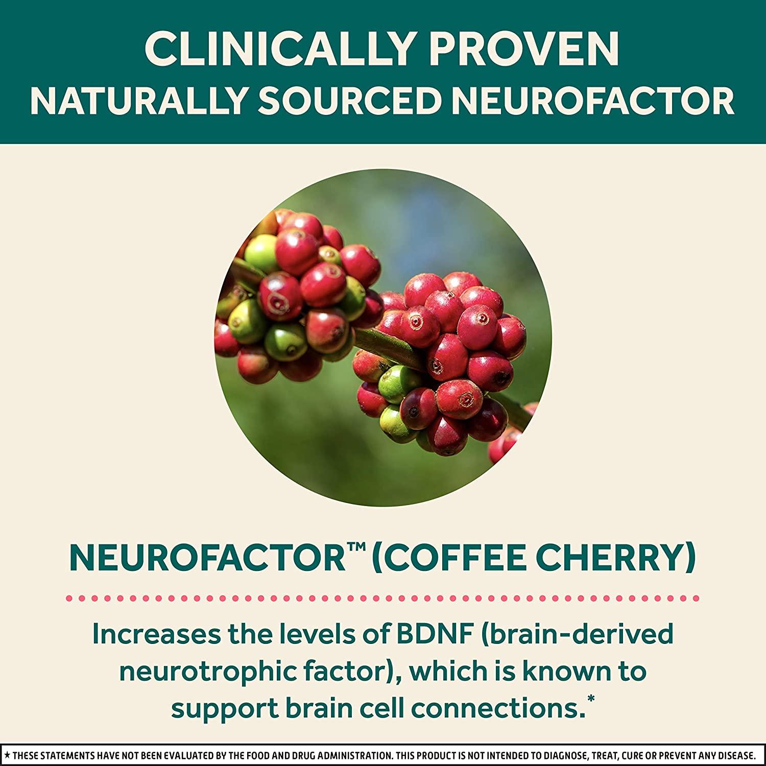 Neuriva Brain + Energy Shots - Nootropic Supplement for Focus & Energy ...