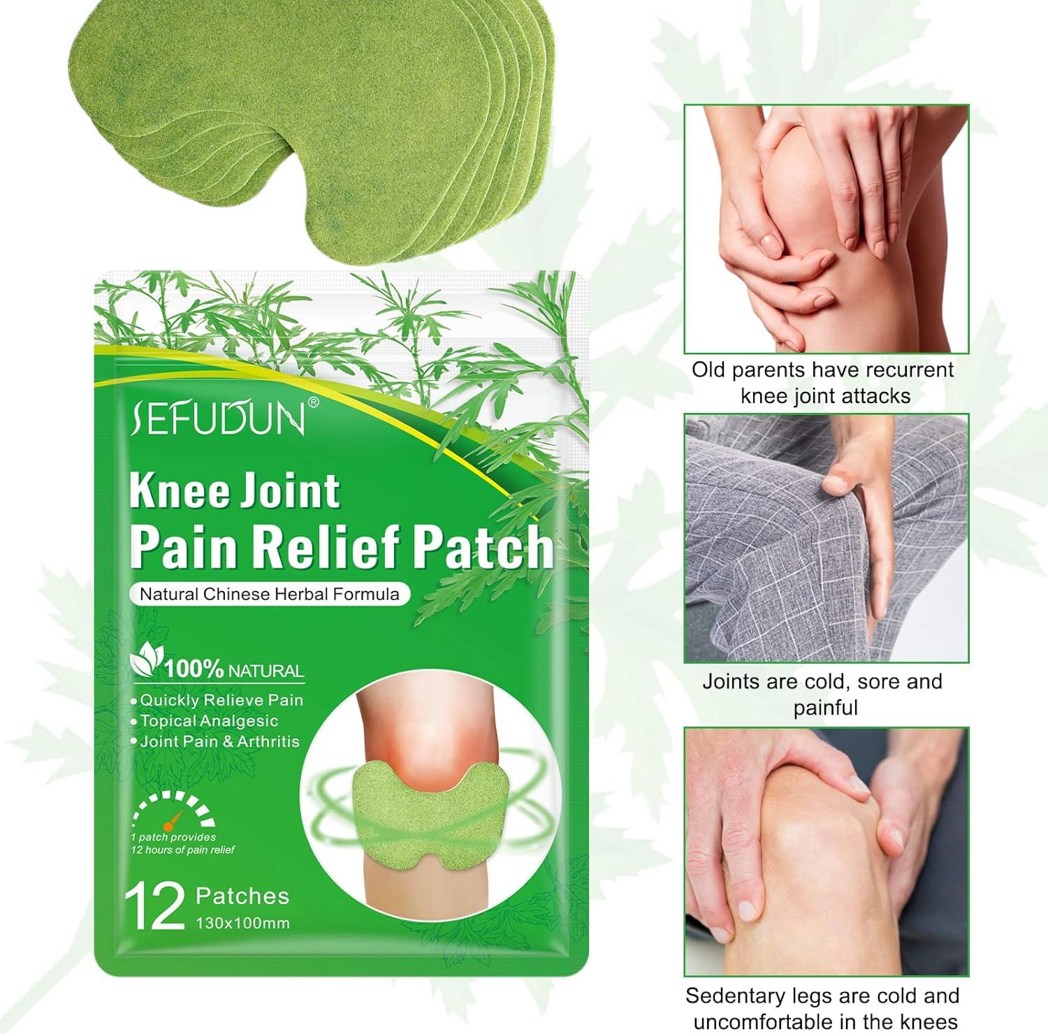Pain Relieving Joint Plaster - 24PCS Natural Wormwood Stickers for Neck ...