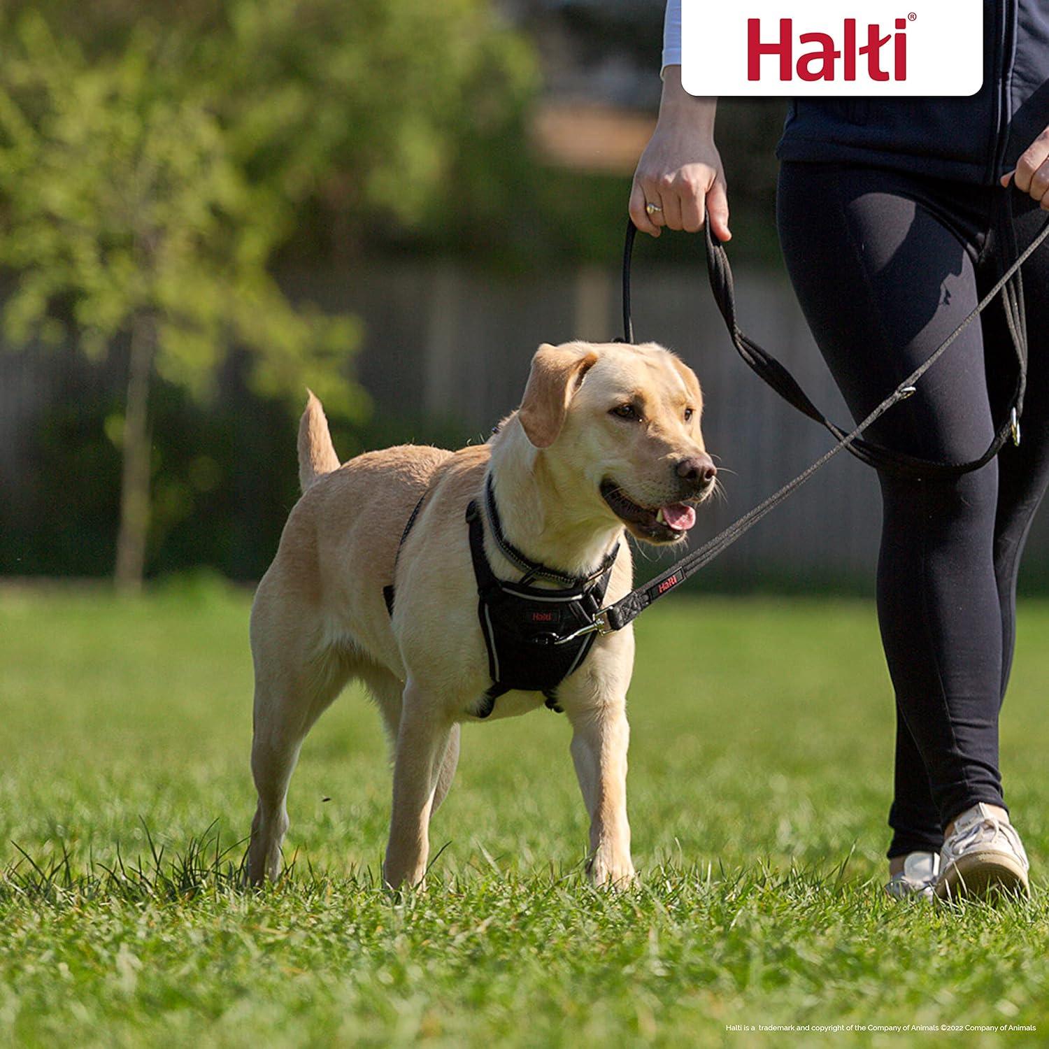 Halti No Pull Harness and Training Lead Combination Pack Stop Dog ...