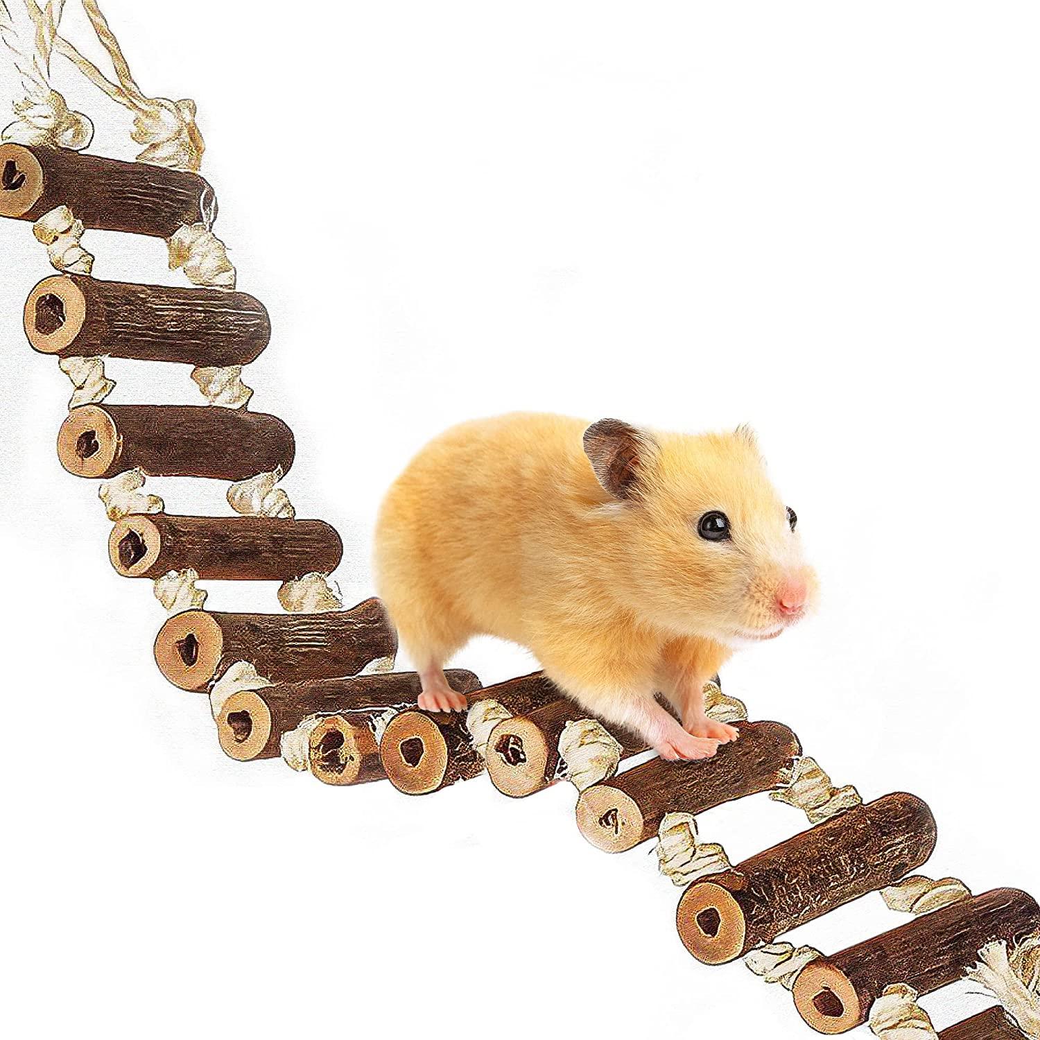 Meric Gecko Ladder Bridge - Raw Wood Hanging Climber for Lizards ...