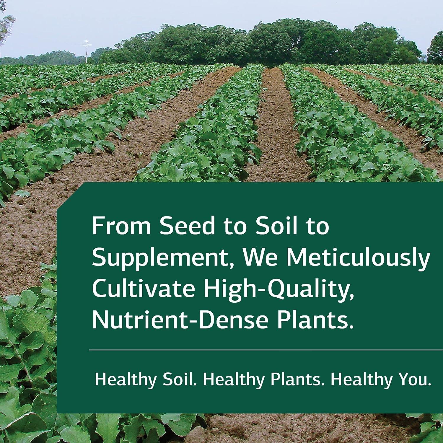 Standard Process SP Cleanse - Whole Food Gallbladder, Liver & Kidney ...